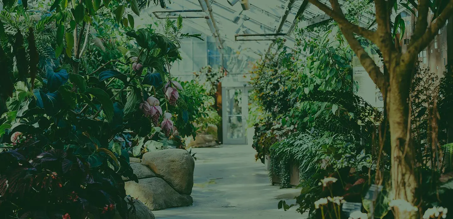 Vans Landscaping Services | Seattle & Bellevue Landscaping